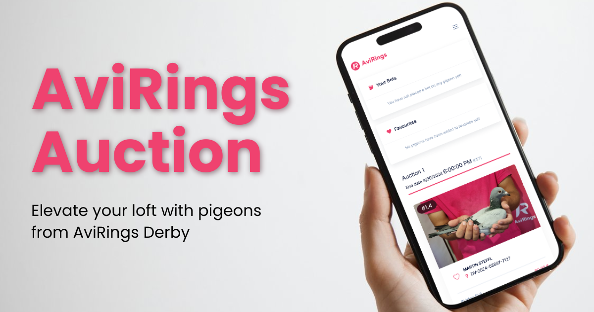 AviRings Auction Platform